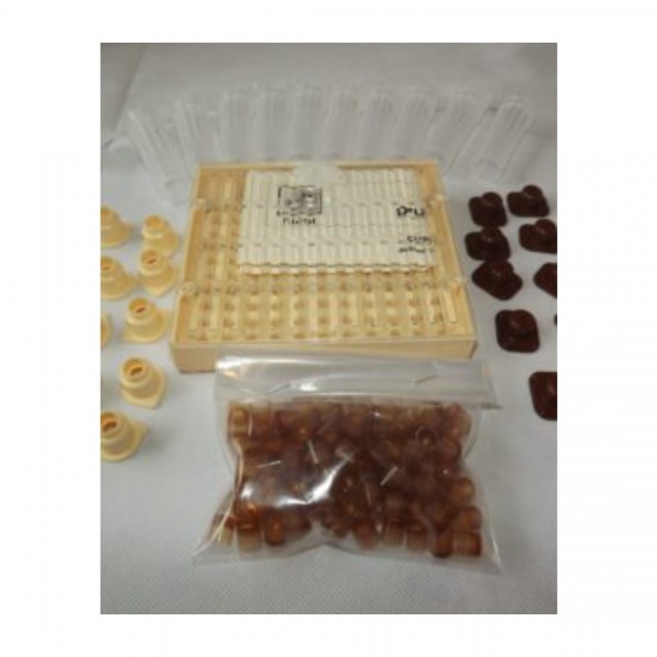 Queen Marking, Queen Rearing and Swarms