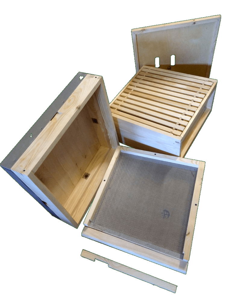 British National - Pine