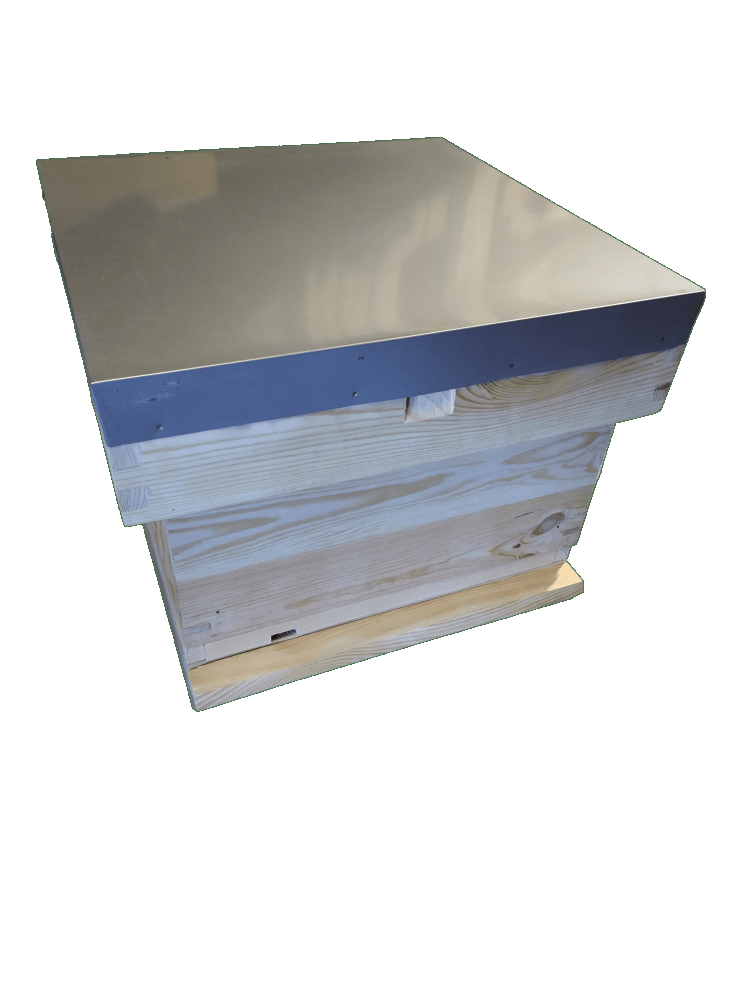 British National - Pine