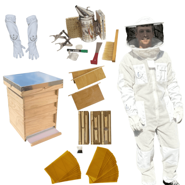 Complete Beginner Beekeeping Kit: Full Hive - Suit - Tools