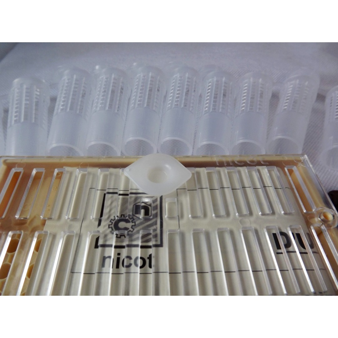 Nicot Queen Rearing Cupkit System