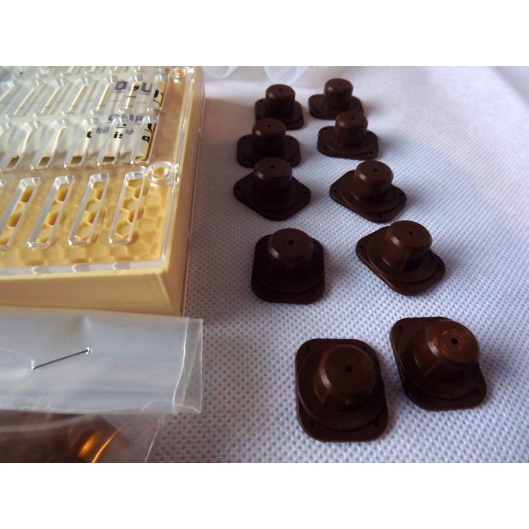 Nicot Queen Rearing Cupkit System